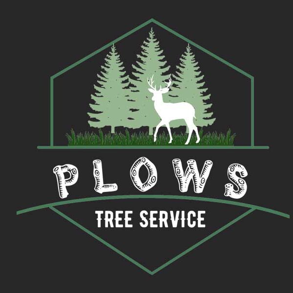 MVCC's thINCubator – the home for Innovative New Companies